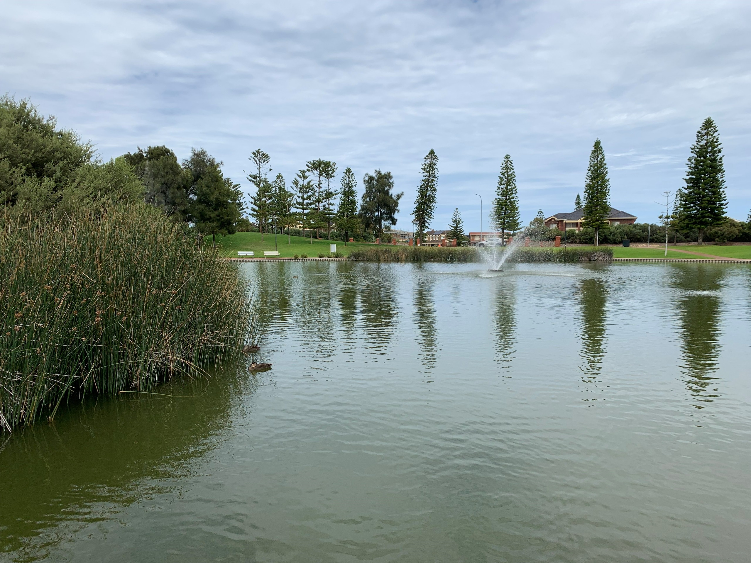 Draft Water Infrastructure Asset Management Plan - Open for ...