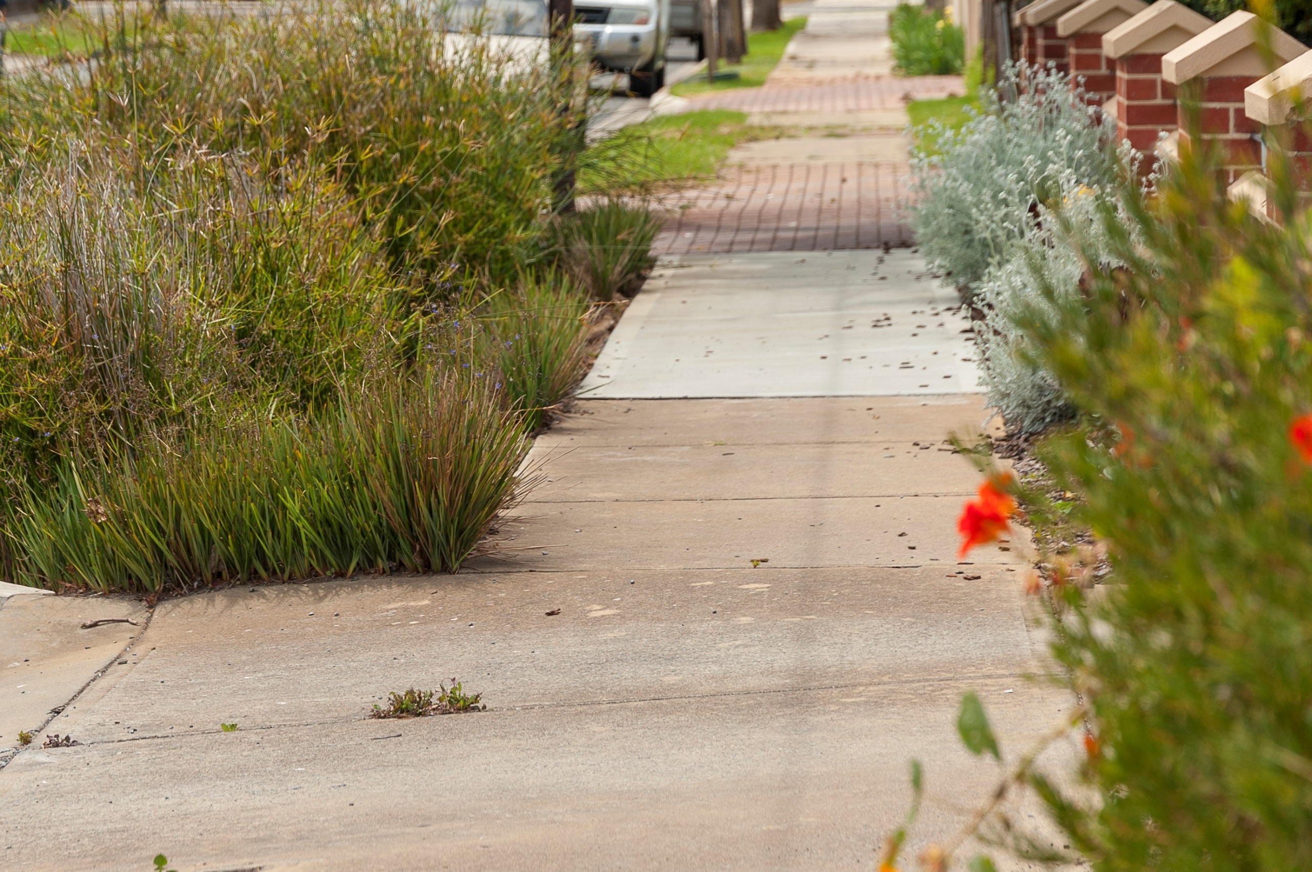 Footpaths and Pedestrian Crossings | Let's Reimagine Chief Street ...