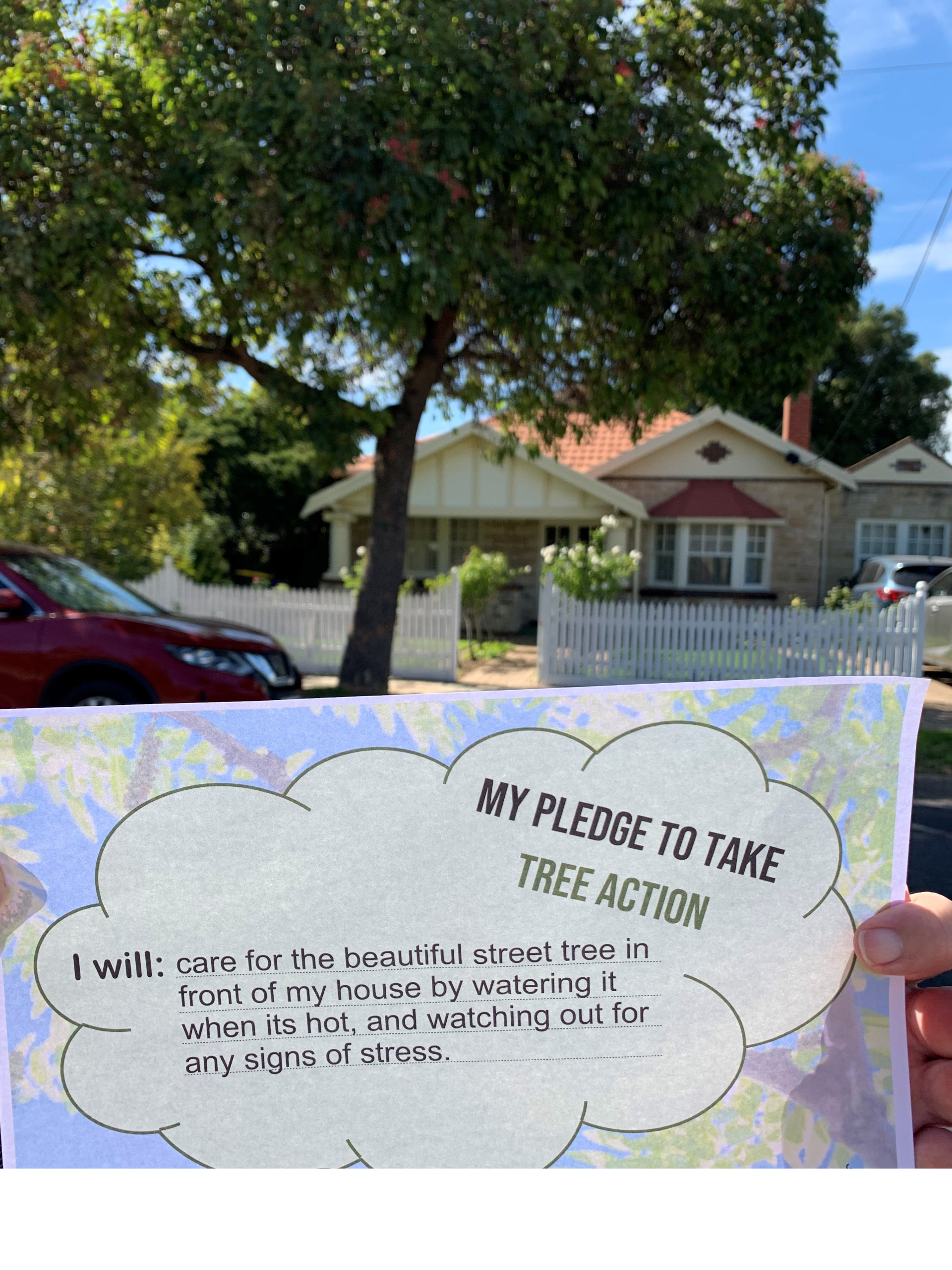 Share your pledge to the storyboard | GROWING GREEN: Tree Canopy ...